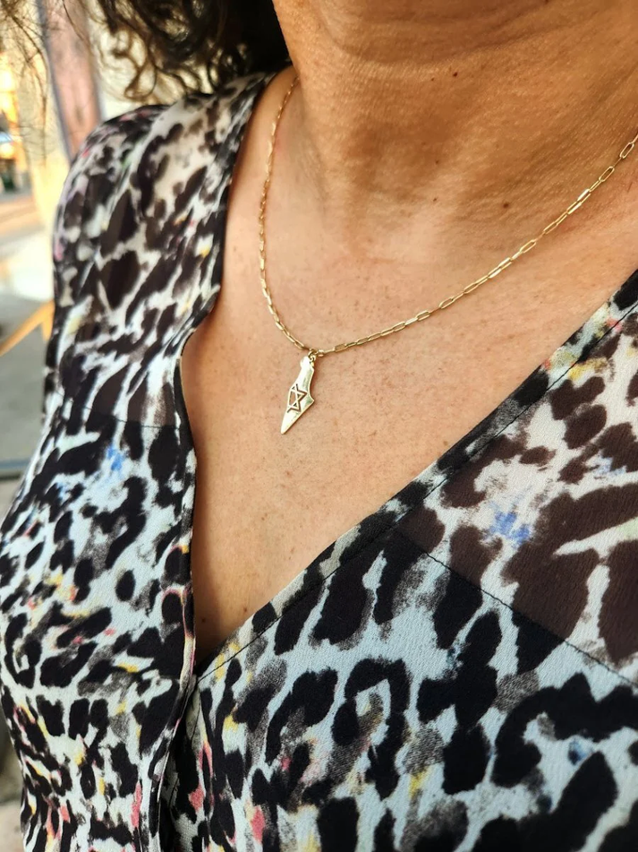Israel Star of David Necklace – Jews for Jesus Store