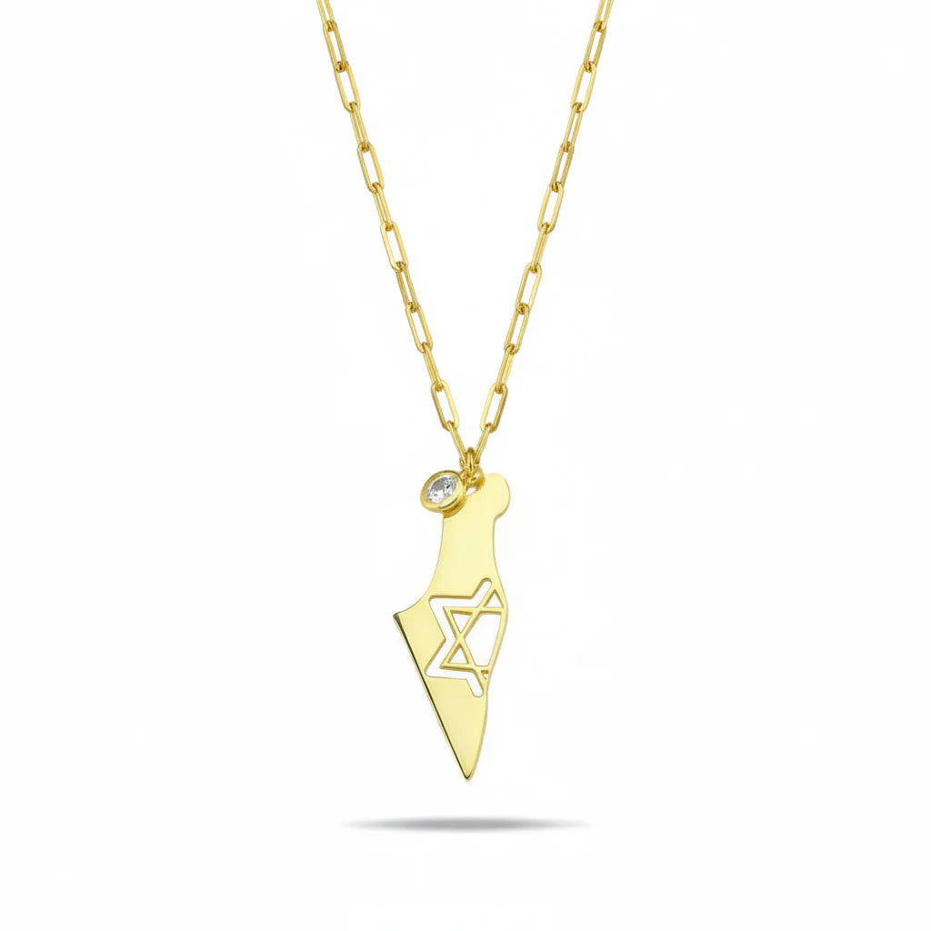 Israel Star of David Necklace – Jews for Jesus Store